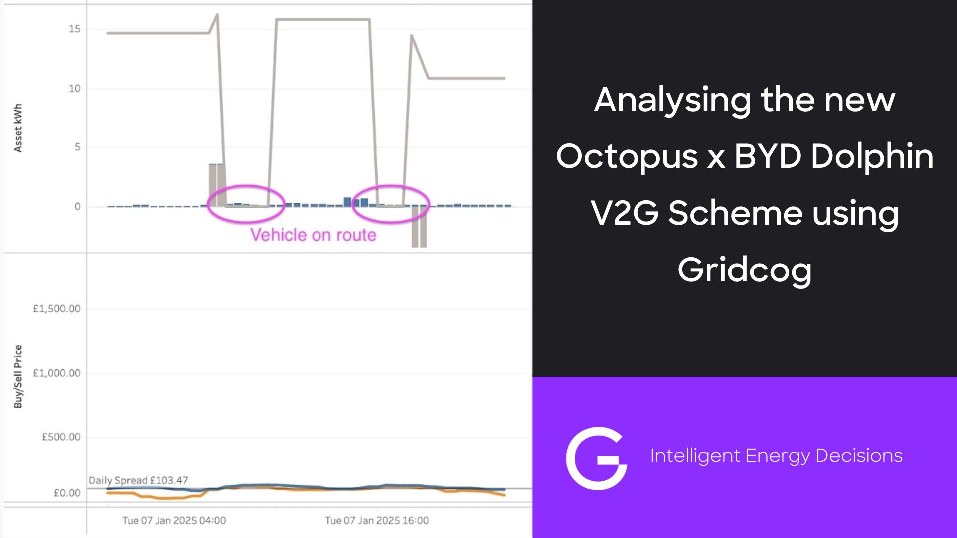 Analysing the new Octopus x BYD Dolphin V2G Scheme using Gridcog
